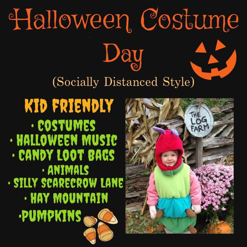 Barnyard Fun | The Log Farm