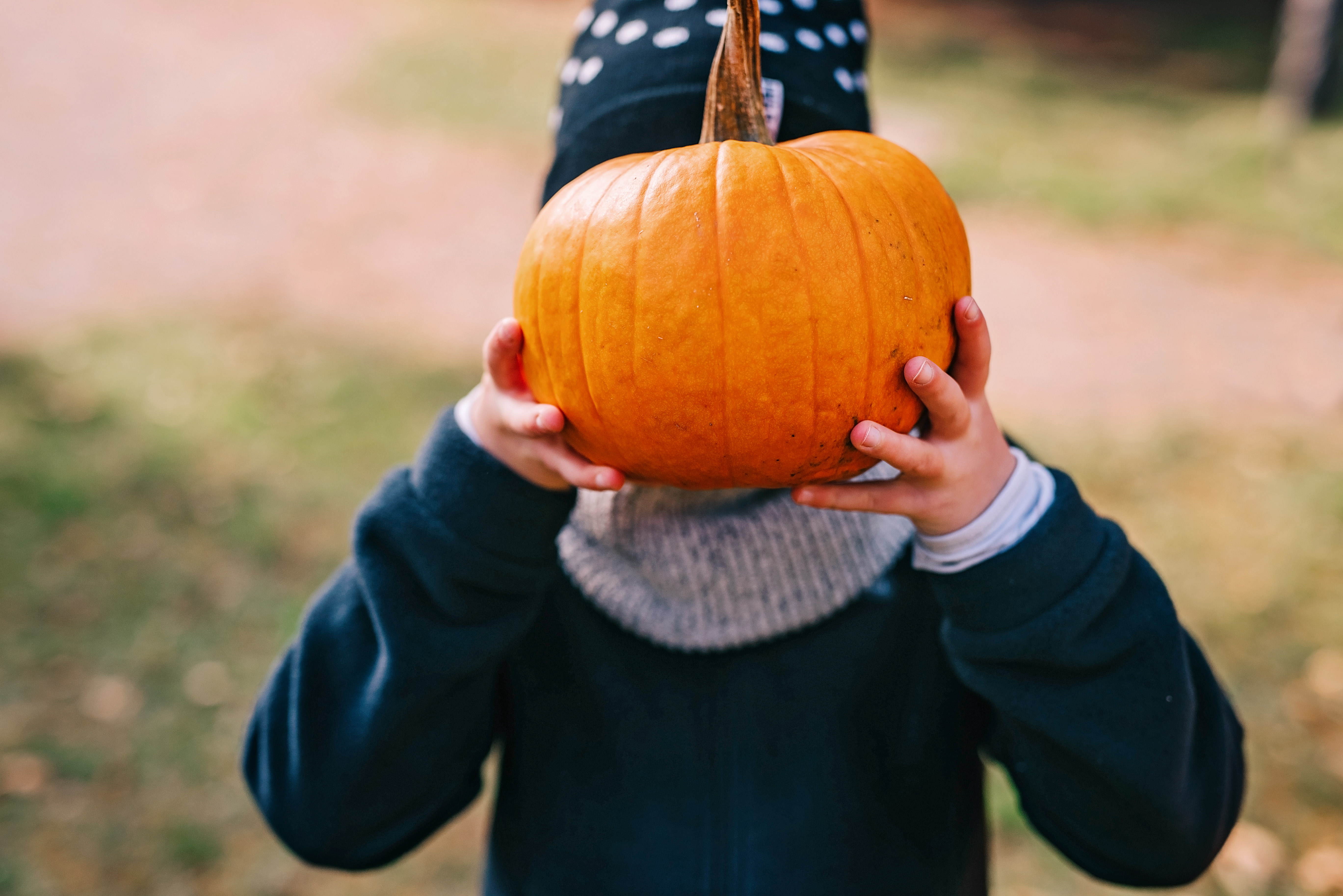 Fall Season | The Log Farm