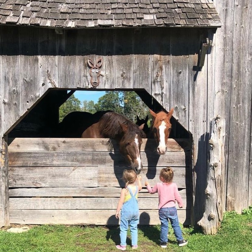 Summer At The Farm | The Log Farm