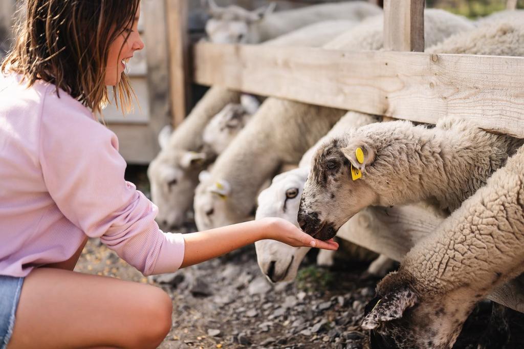 The Log Farm | Ottawa’s Favourite Family Farm