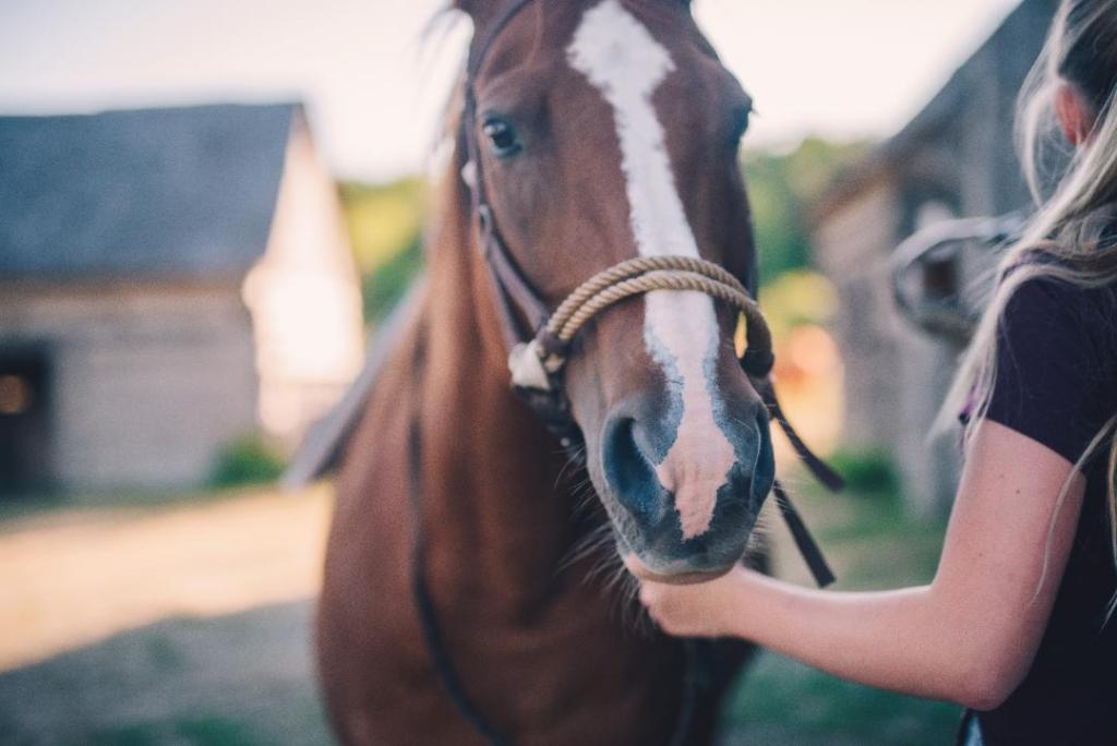 Our Animals | The Log Farm