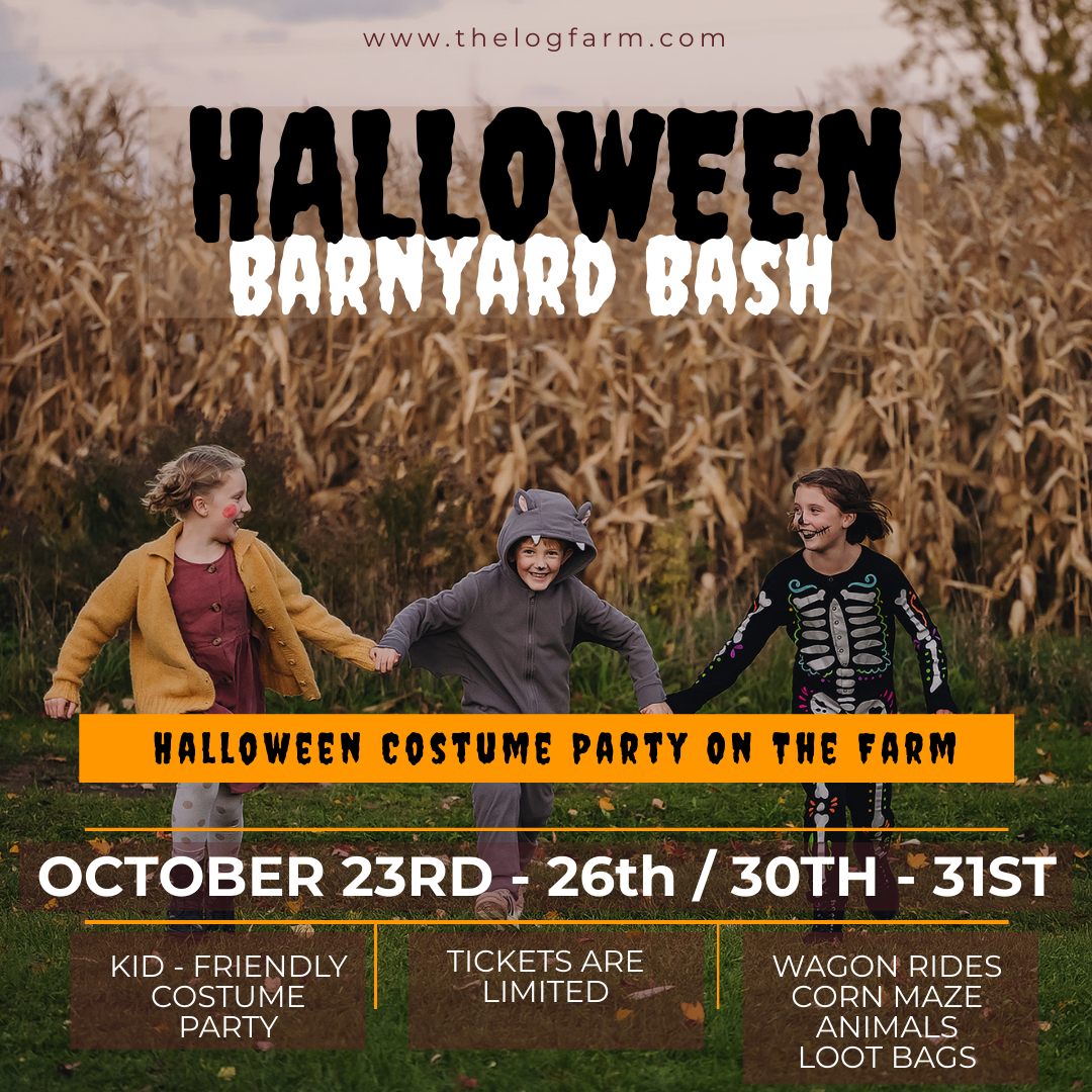 HALLOWEEN | The Log Farm